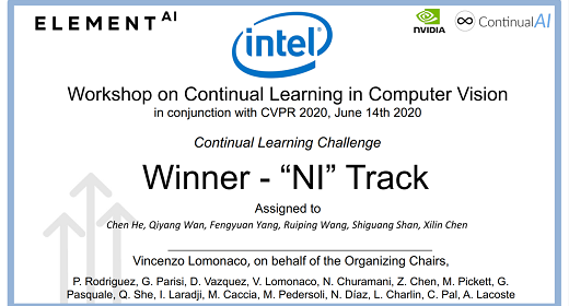 Visual Information Processing and Learning (VIPL)